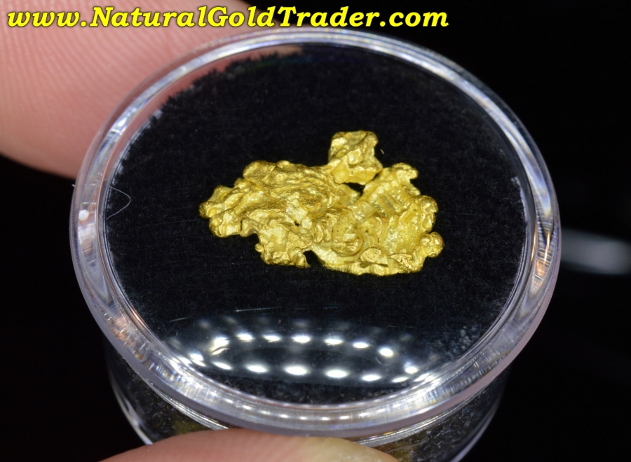 2.16 Gram Eugene Mountains Nevada Gold Nugget Specimen