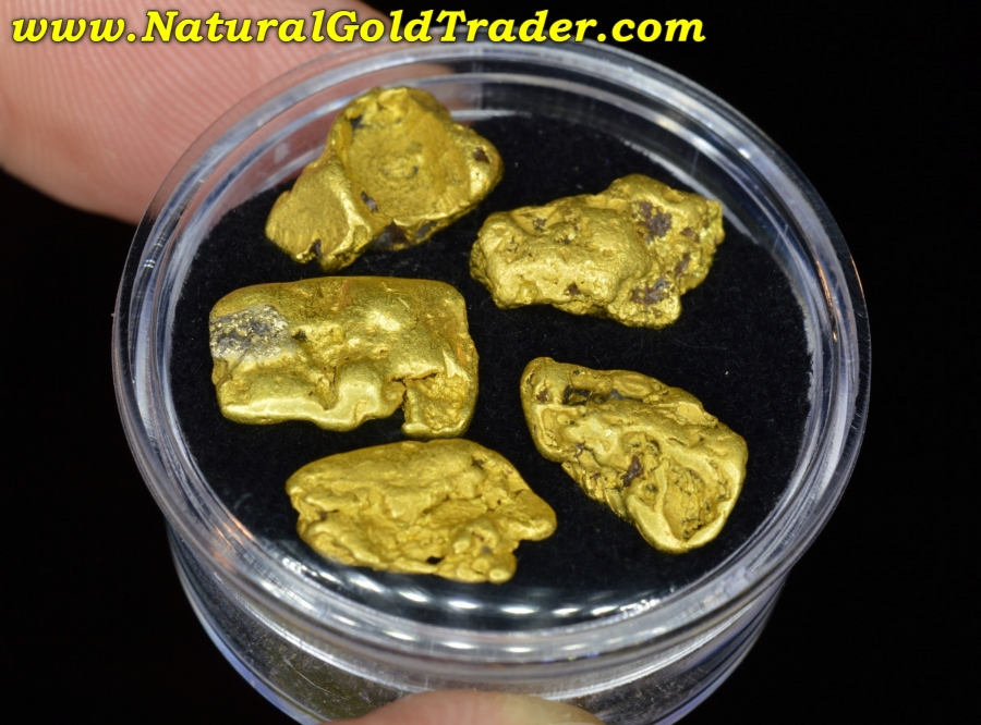 13.87 Grams (5) Alaskan Placer Gold Nuggets