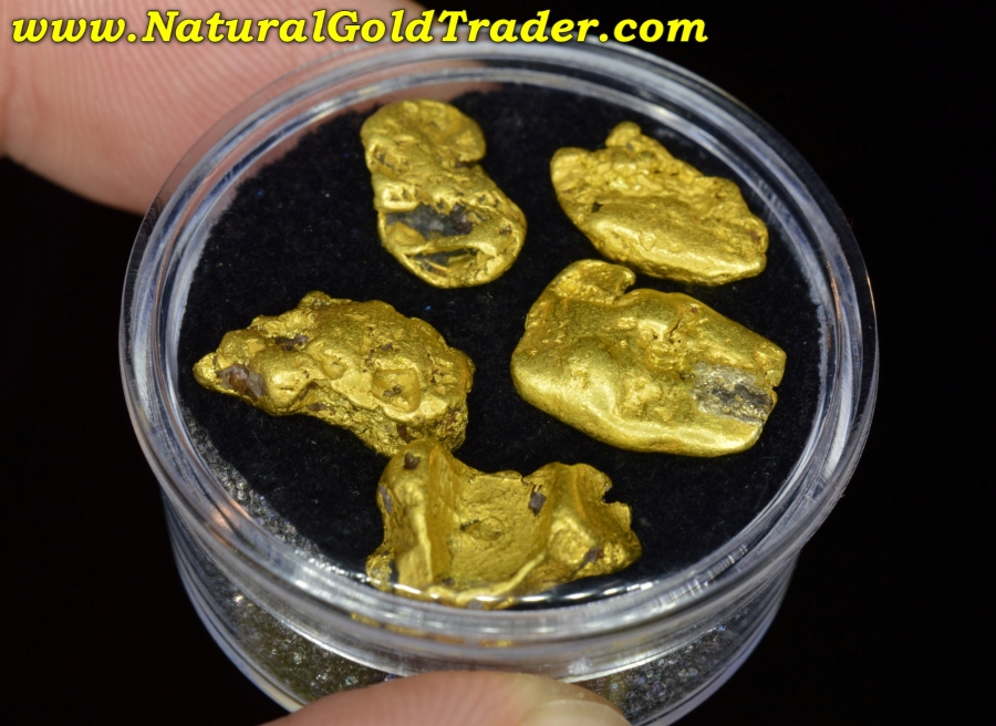 13.87 Grams (5) Alaskan Placer Gold Nuggets