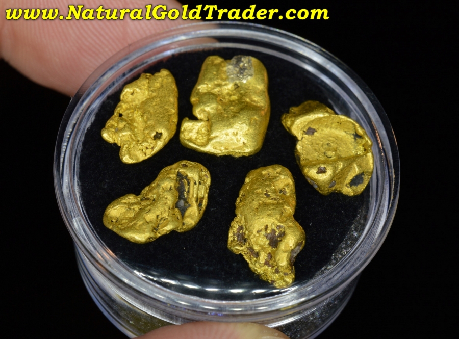 13.87 Grams (5) Alaskan Placer Gold Nuggets