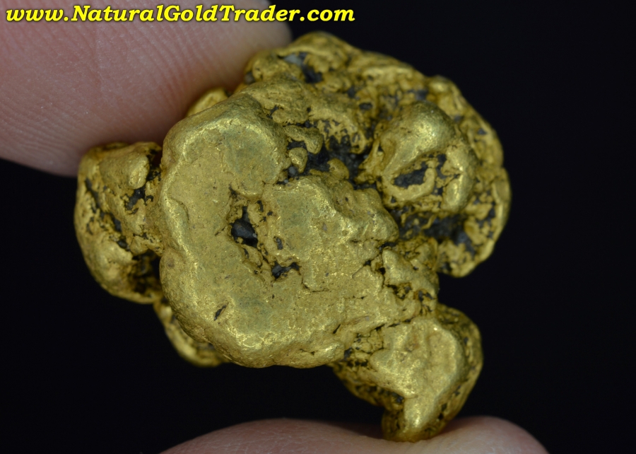 32.0 Gram British Columbia Canada Nugget