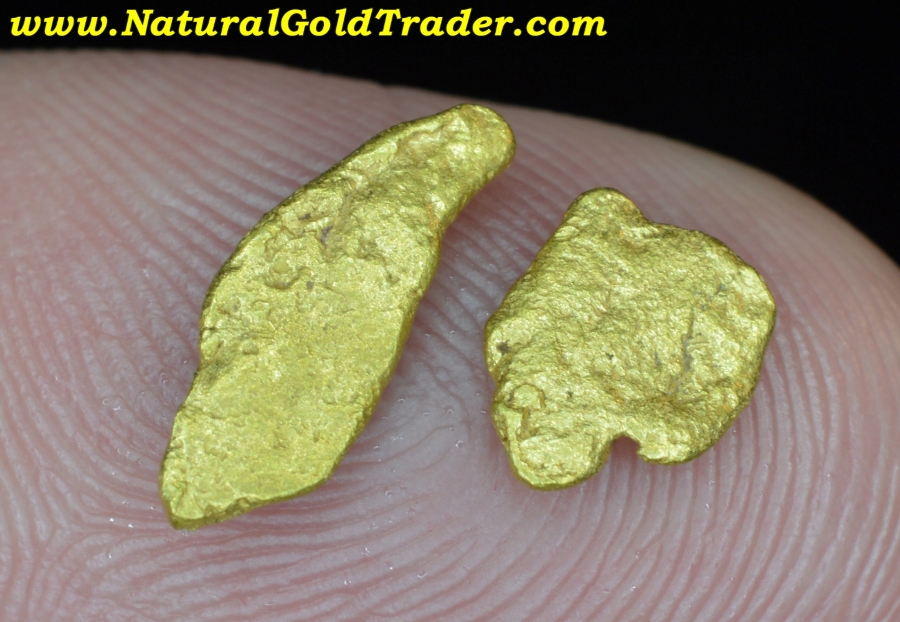 1.50 Grams (2) American River California Gold Nuggets