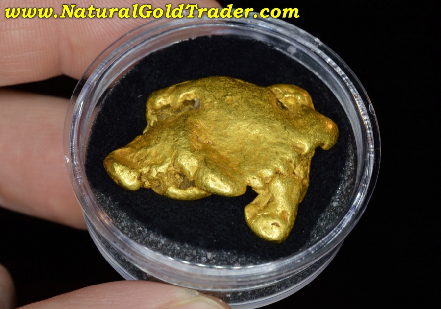 43.02 Gram Red Bluff Mine California Gold Nugget