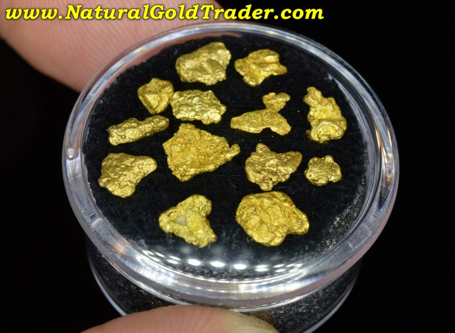 2.78 Grams (13) Chunky Alaskan Gold Nuggets