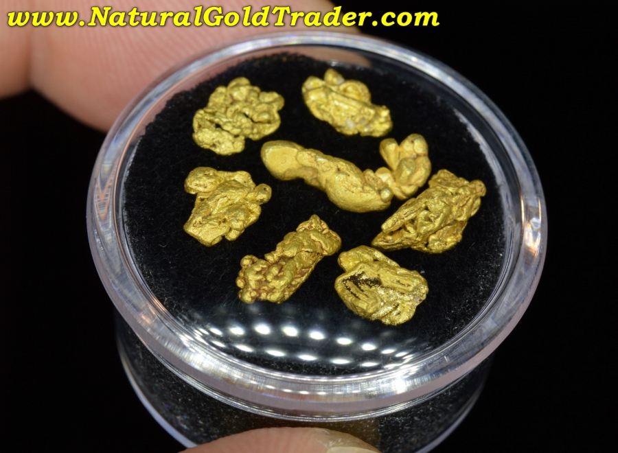 3.49 Grams (7) Crystallized Alaskan Gold Nuggets