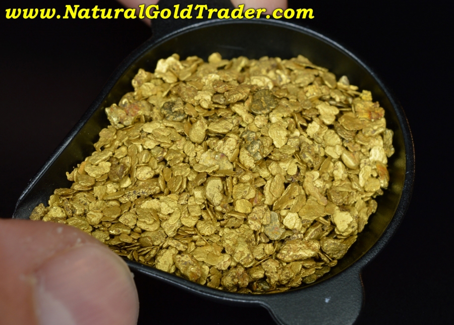 1 Ozt. 31.1 Grams of Alaskan Placer Gold Pickers & Flakes