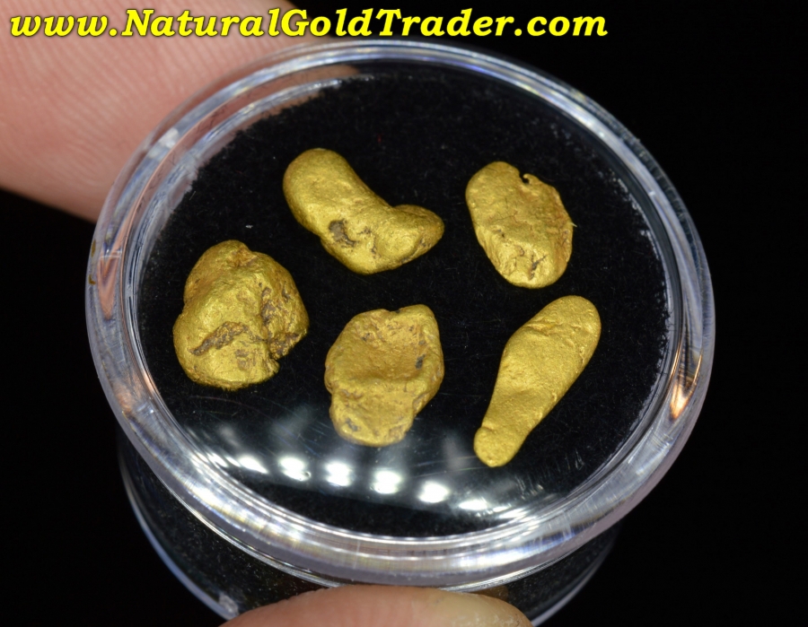3.79 Grams (5) Alaskan Placer Gold Nuggets