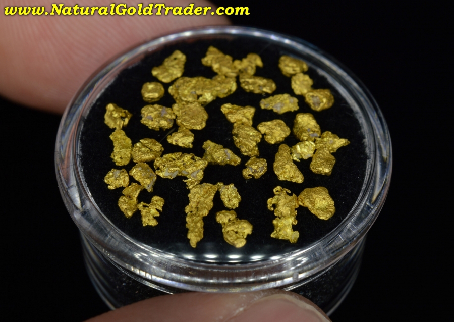 2.35 Grams of Alaska Gold Pickers/Nuggets