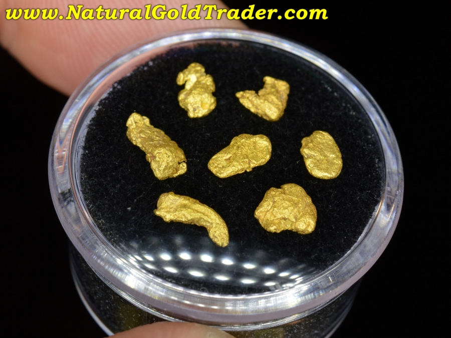 1.97 Grams (7) Quartzsite Arizona Placer Gold Nuggets