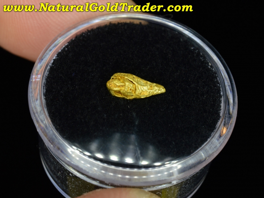 .64 Gram Majuba Placers Nevada Gold Nugget Specimen