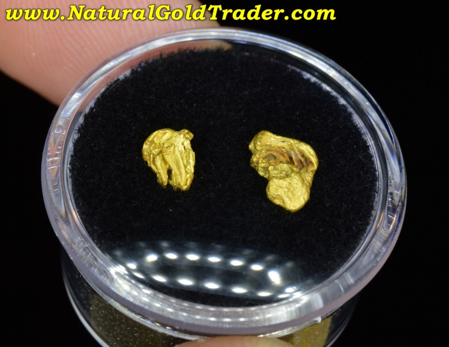 1.14 Gram Majuba Placers Nevada Gold Nugget Specimens