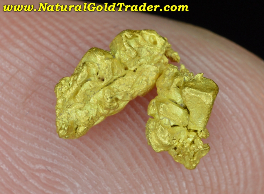 1.28 Gram Majuba Mountain Nevada Gold Specimen
