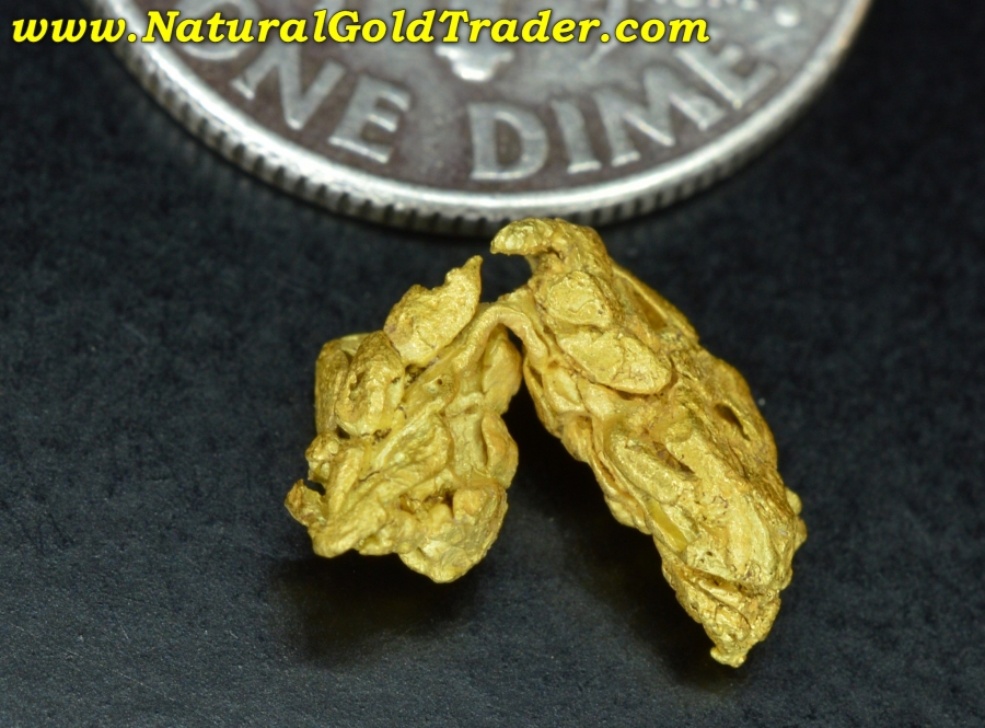 1.28 Gram Majuba Mountain Nevada Gold Specimen