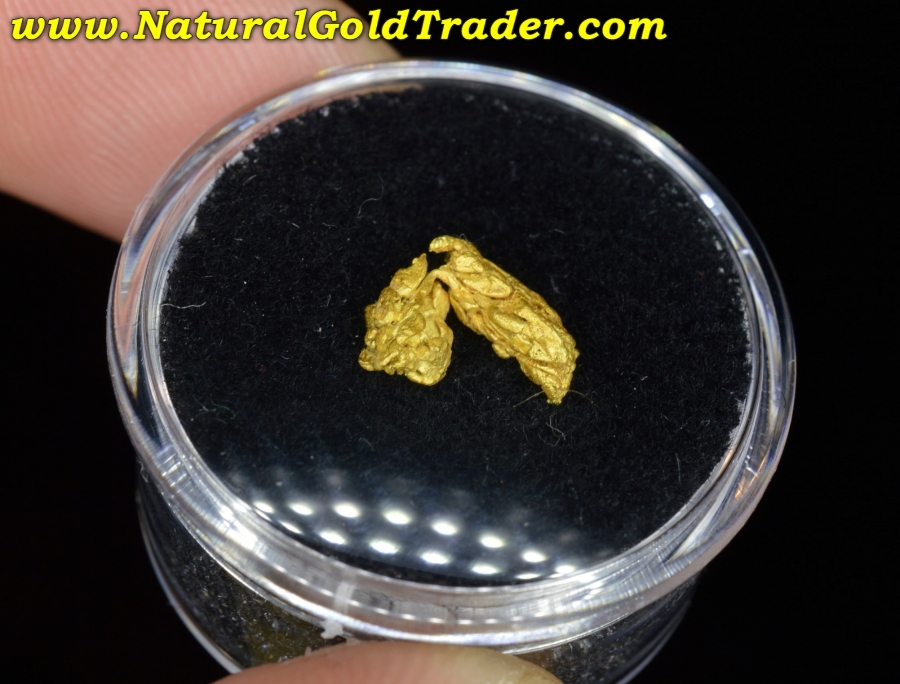 1.28 Gram Majuba Mountain Nevada Gold Specimen