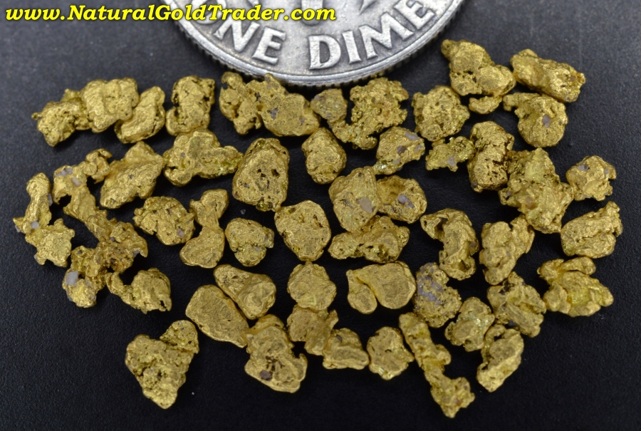 2.89 Grams of Alaska Gold Pickers/Nuggets