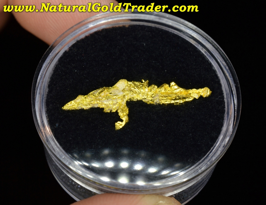 1.90 Gram Western Sahara Morocco Africa Crystallized Gold Specimen
