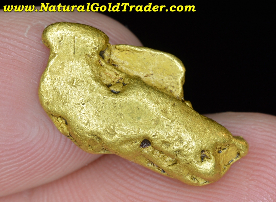 8.80 Gram Northern California Solid Gold Nugget