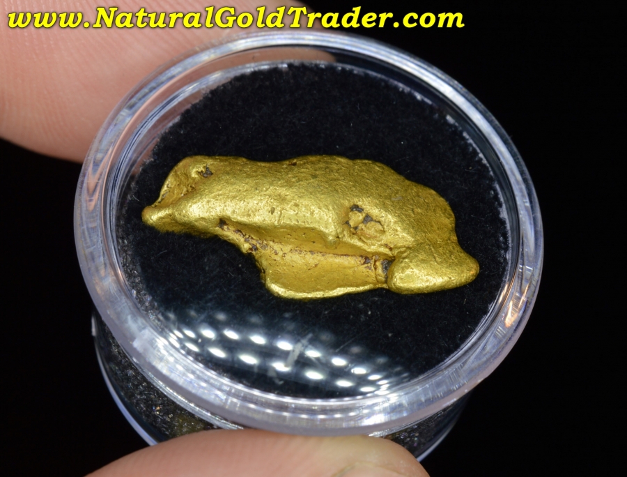 8.80 Gram Northern California Solid Gold Nugget
