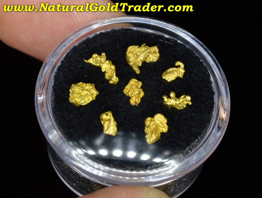 1.68 Grams (8) Natural Aussie Gold Nuggets