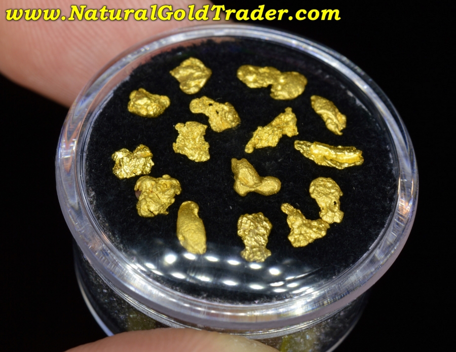 1.87 Grams (15) Australian Placer Gold Nuggets