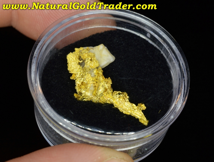 3.73 Gram Morocco Africa Crystallized Gold Specimen