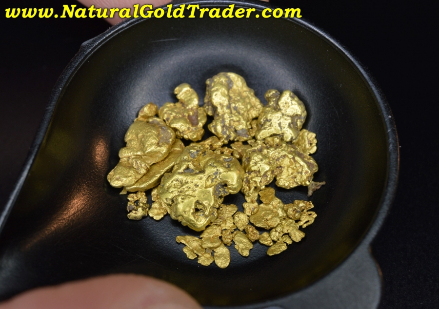 4.38 Grams Zeke Tenhoff Nome Alaska Dredge Gold Nuggets