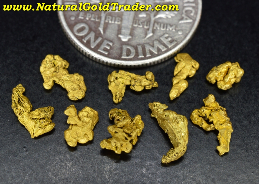 1.34 Grams (9) Chicken Alaska Crystallized Gold Specimens