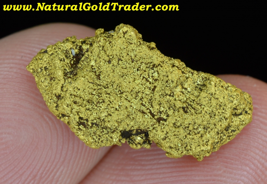 5.21 Gram Greaterville Arizona Coarse Gold Nugget