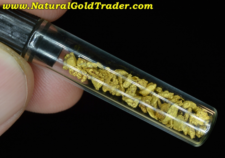 2.82 Grams of Alaskan Gold Pickers in Vial