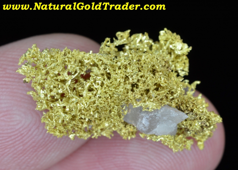 4.30 Gram Boise County Idaho Crystallized Gold Specimen