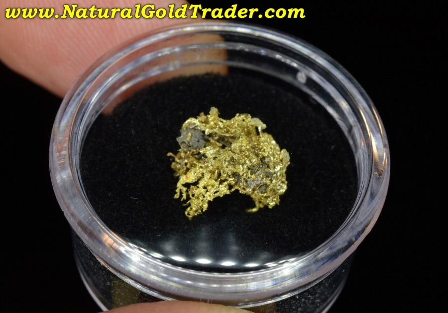 .95 Gram Idaho Crystallized Wire Gold Specimen