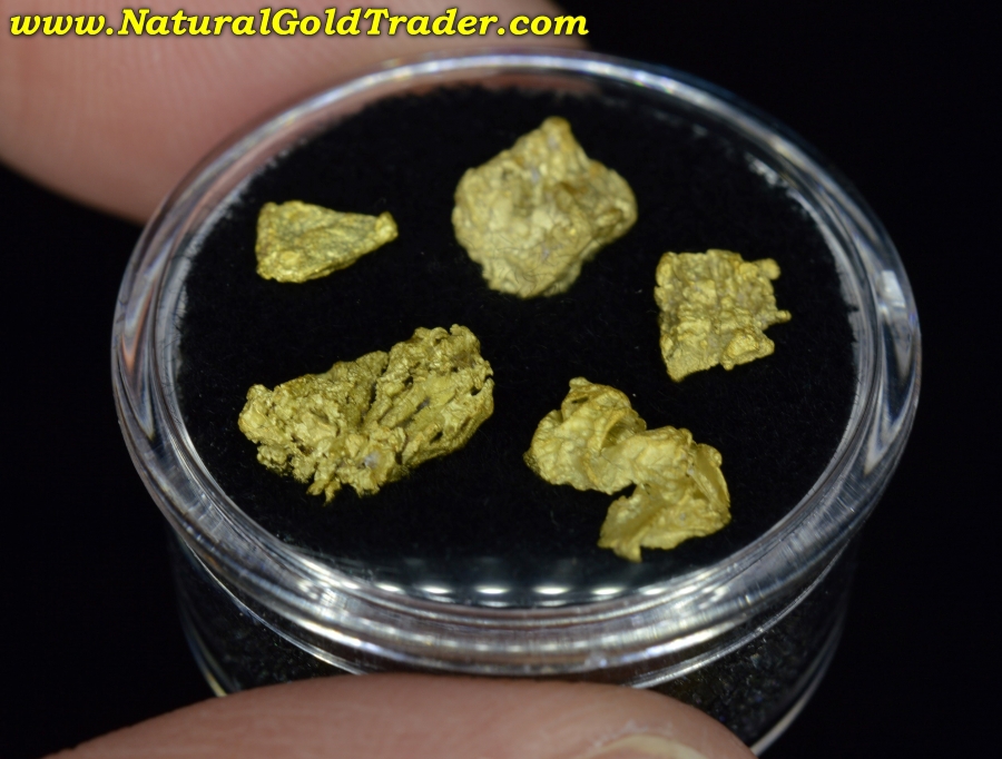 2.76 Grams (5) Nevada Gold Nuggets