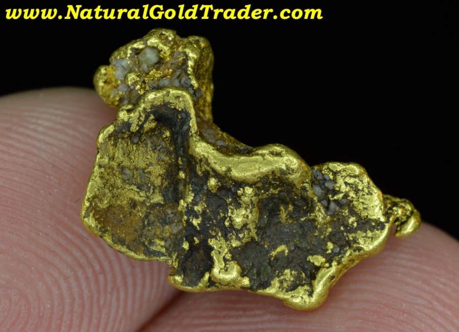 5.98 Gram Fairbanks Alaska Gold Nugget with Quartz