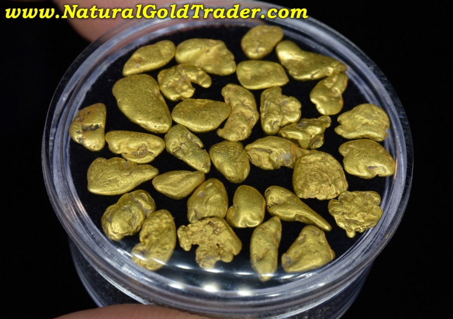 10.22 Grams (31) Alaskan Placer Gold Nuggets