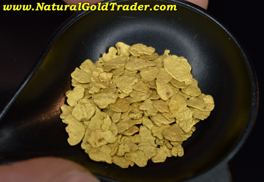 5.00 Grams Alaska Manley Hot Springs Gold Flakes