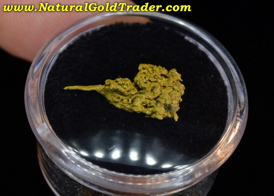 1.48 Gram Boise Basin Idaho Wire-Gold Specimen