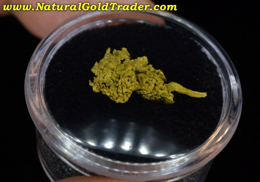1.48 Gram Boise Basin Idaho Wire-Gold Specimen