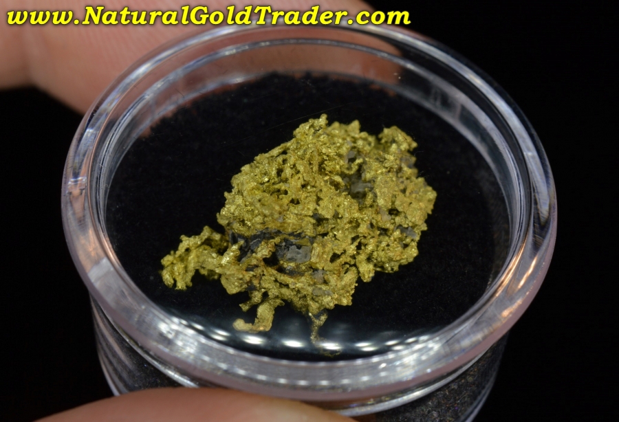 5.22 Gram Belshazzar Mine Idaho Gold Specimen