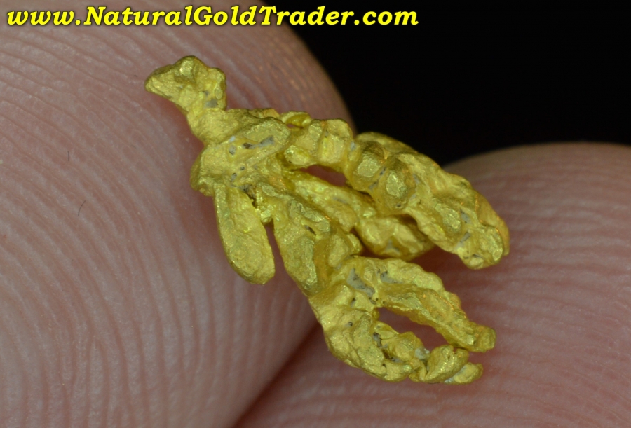.70 Gram Montana Highly Crystallized Gold Specimen
