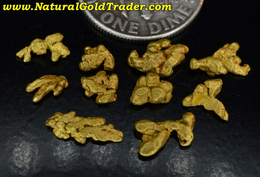 2.87 Grams (10) Montana Character Gold Nuggets