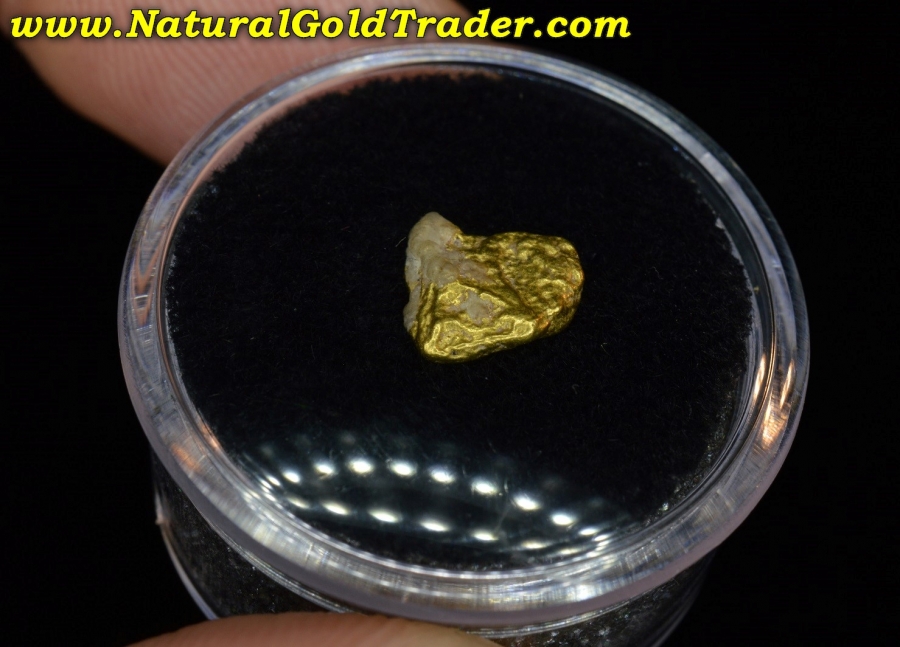 .74 Gram La Sal Mountains Moab Utah Gold Nugget with Quartz
