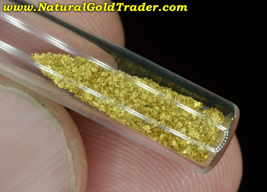 1.00 Gram Vial of Colorado Placer Gold Dust