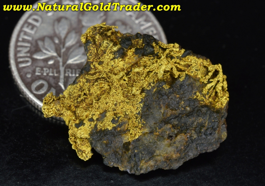 1.87 Gram Canyon City Oregon Gold & Hematite Specimen