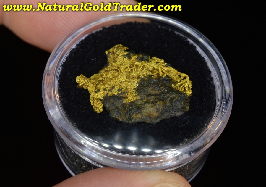 1.87 Gram Canyon City Oregon Gold & Hematite Specimen