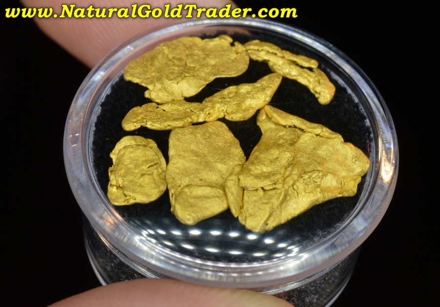3.55 Grams (6) Montana Large Gold Flakes/Nuggets