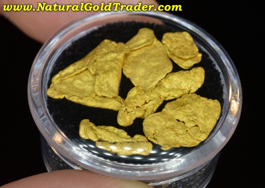 3.55 Grams (6) Montana Large Gold Flakes/Nuggets