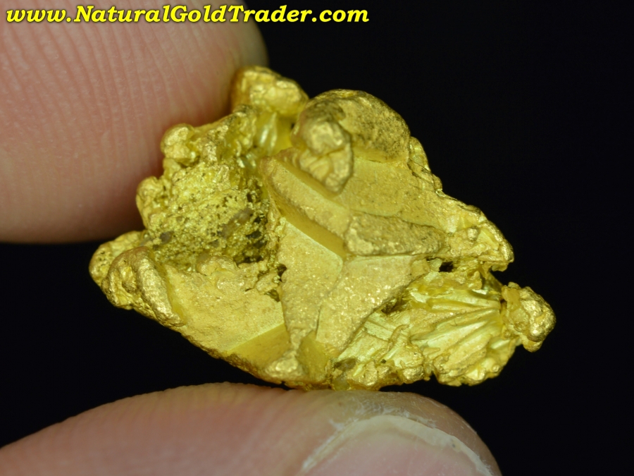 7.52 Gram Nevada Gold Specimen/Nugget