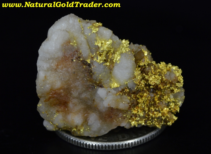 4.89 Gram Oregon Gold & Quartz Specimen